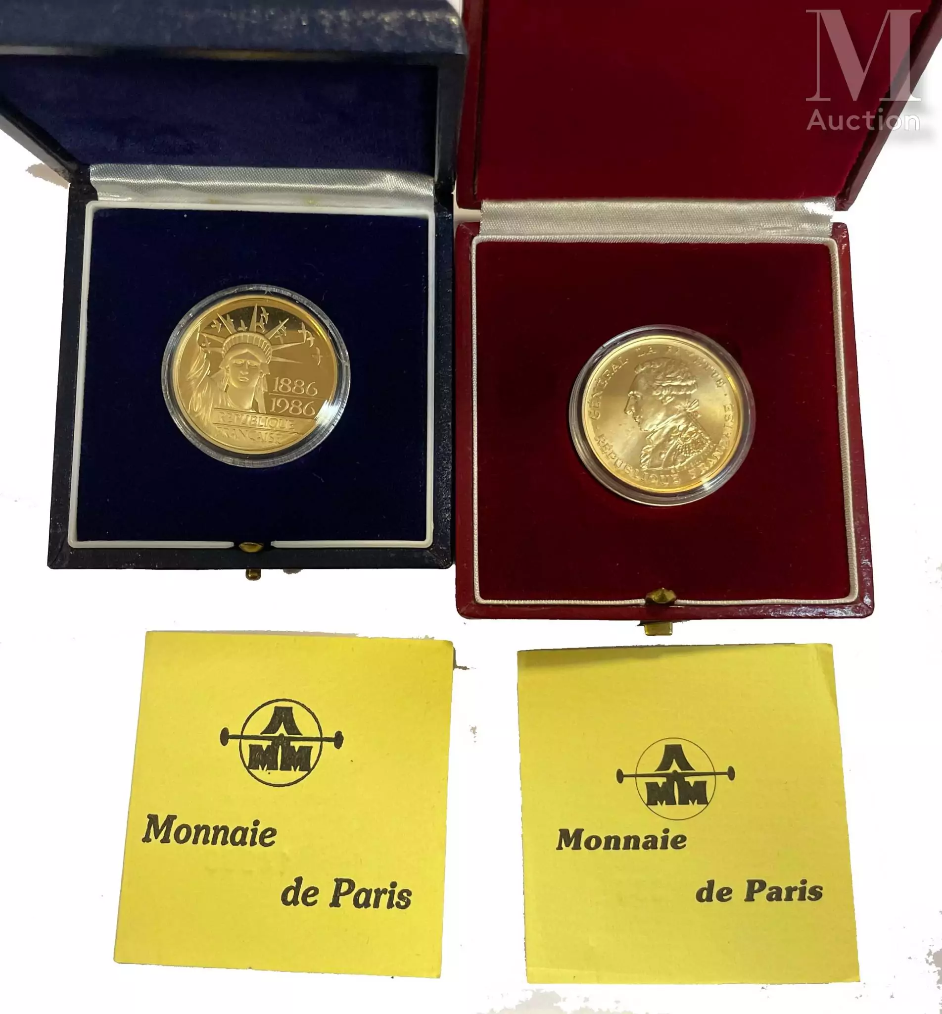 France - Monnaie de Paris - Lot 196 - enchères